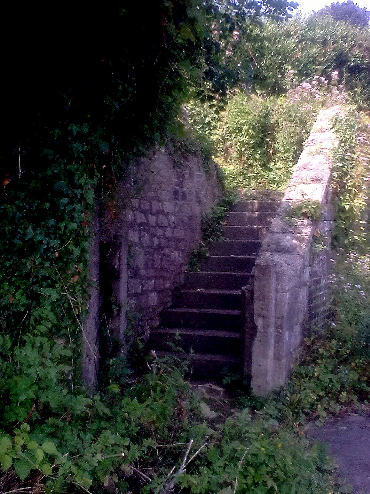 Railfile - Midford Station