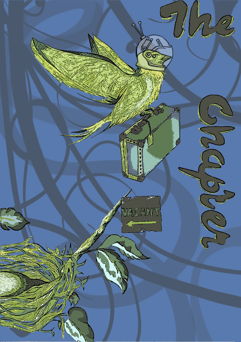 Vicki Fitzpatrick, Final Major Project, Illustration 2011