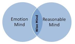 How I Used Wise Mind in Response To a Major Trigger - Healing From ...