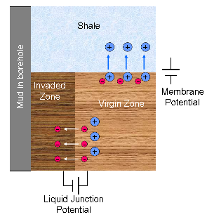 Chemistry: liquid junction potential