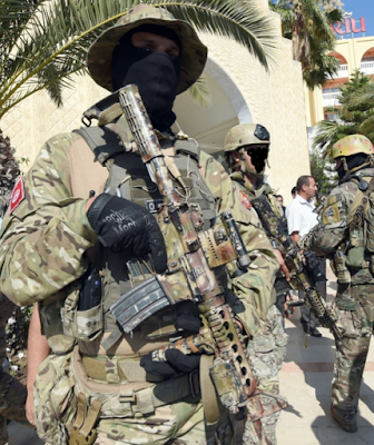 Gsg9 1/87 Unité spéciale: USGN