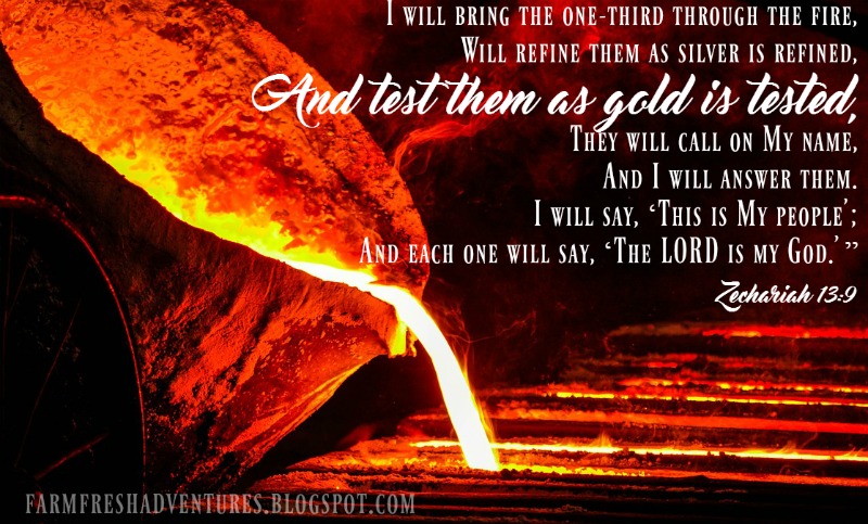 Farm Fresh Adventures: The Refiner's Fire {Five Minute Friday}