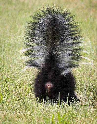 Jana Malinek Photography: April 2016