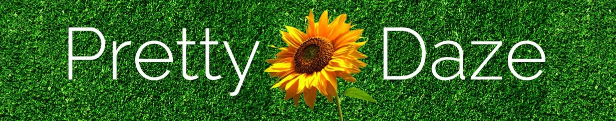 Pretty Daze: 15th FRENCH FILM FESTIVAL: Claire's Knee (Le Genou de Claire)