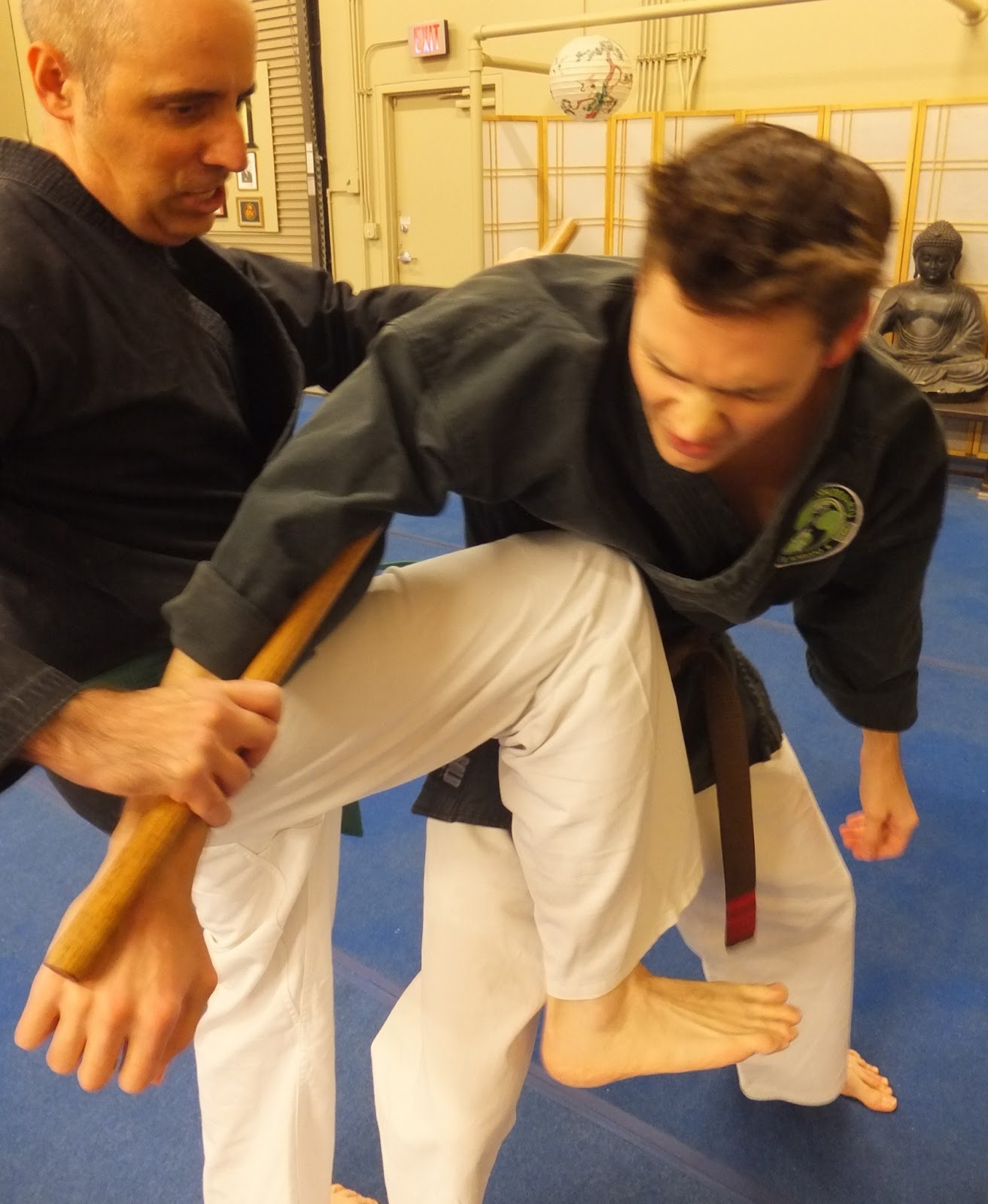 Hanbo - weapon of self-defense