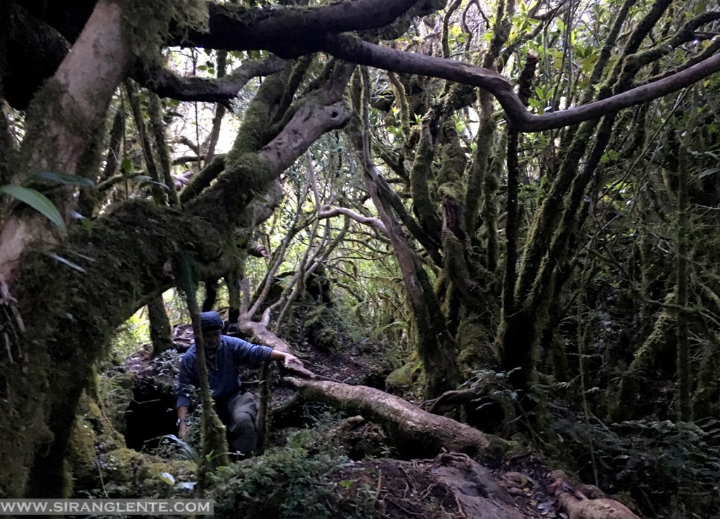 SIRANG LENTE | TRAVEL & HIKE: MT. TABAYOC, BENGUET: HIKING GUIDE AND ...