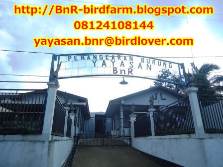 BnR Bird Farm