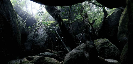 Pakshipathalam Bird Sanctuary