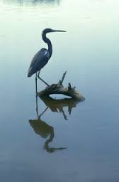 Itosu-kai España: Rohai y Meikyo