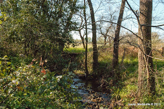 Fotografía Juanjo Mediavilla: Zamudio (Bizkaia)