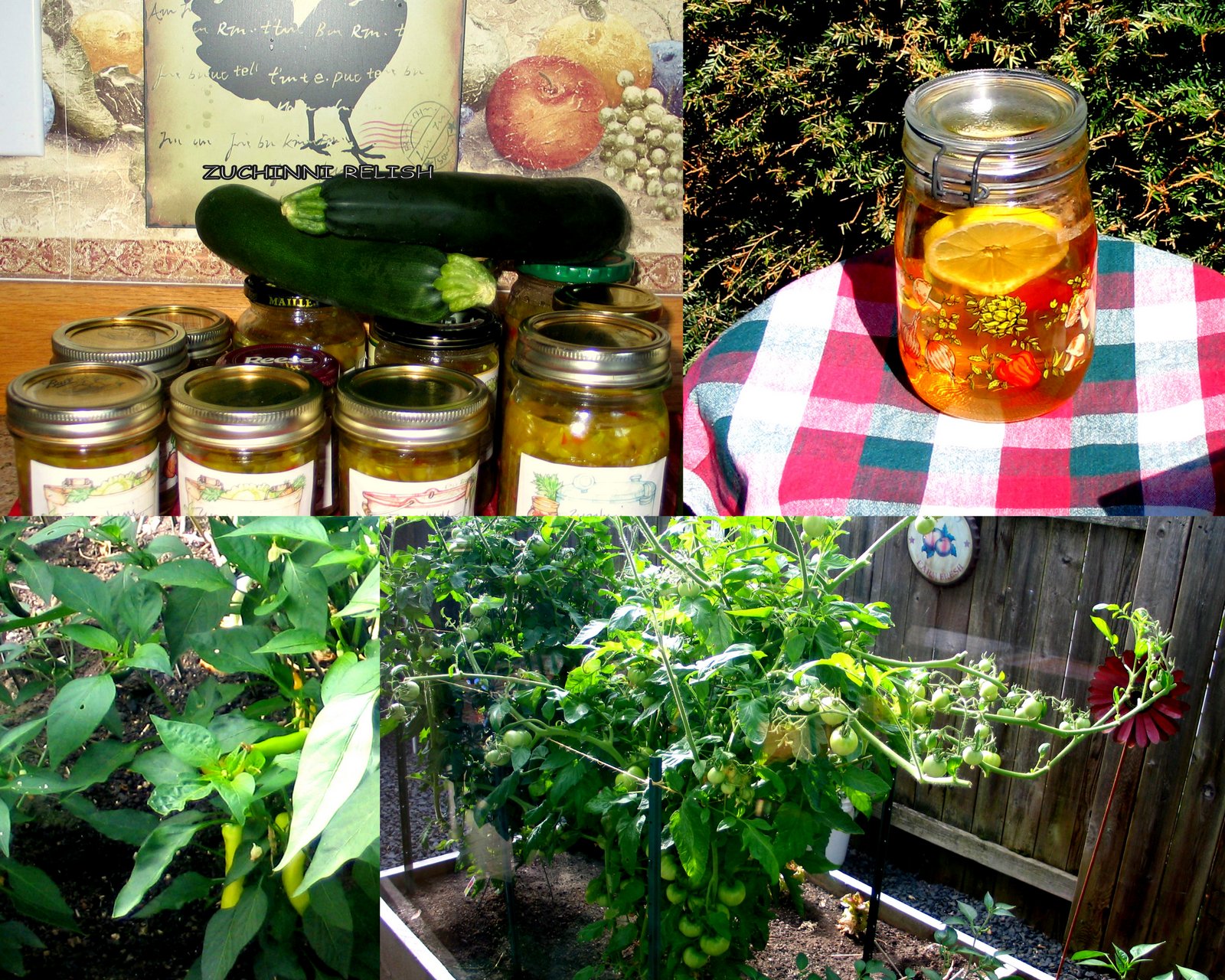 Zo's Kitchen Tonight: July 2012