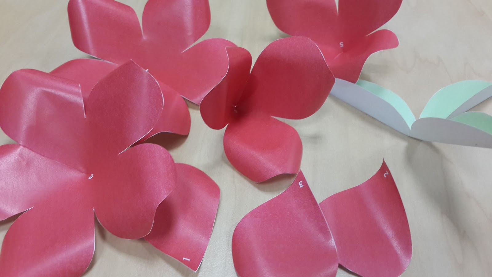DIY : cara membuat bunga ros kertas. - Nora.Liza