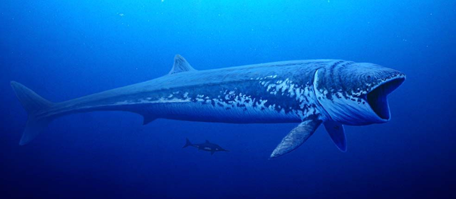 Ander 7 : Leedsichthys problematicus — Peixe de Leeds