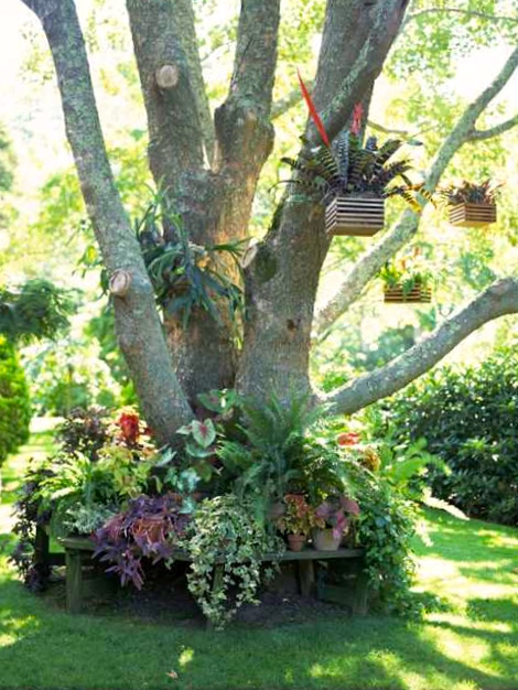 Two Men and a Little Farm: FLOWER BASKETS IN TREES, INSPIRATION THURSDAY