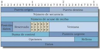 ETHERNET: Modelo OSI y TCP/IP