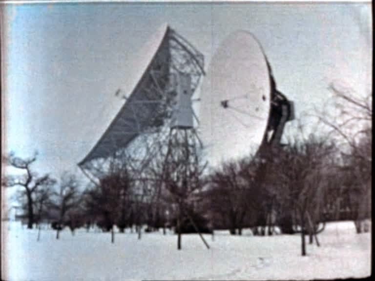 The Tiger Who Came To Tea: The Ambassadors of Death