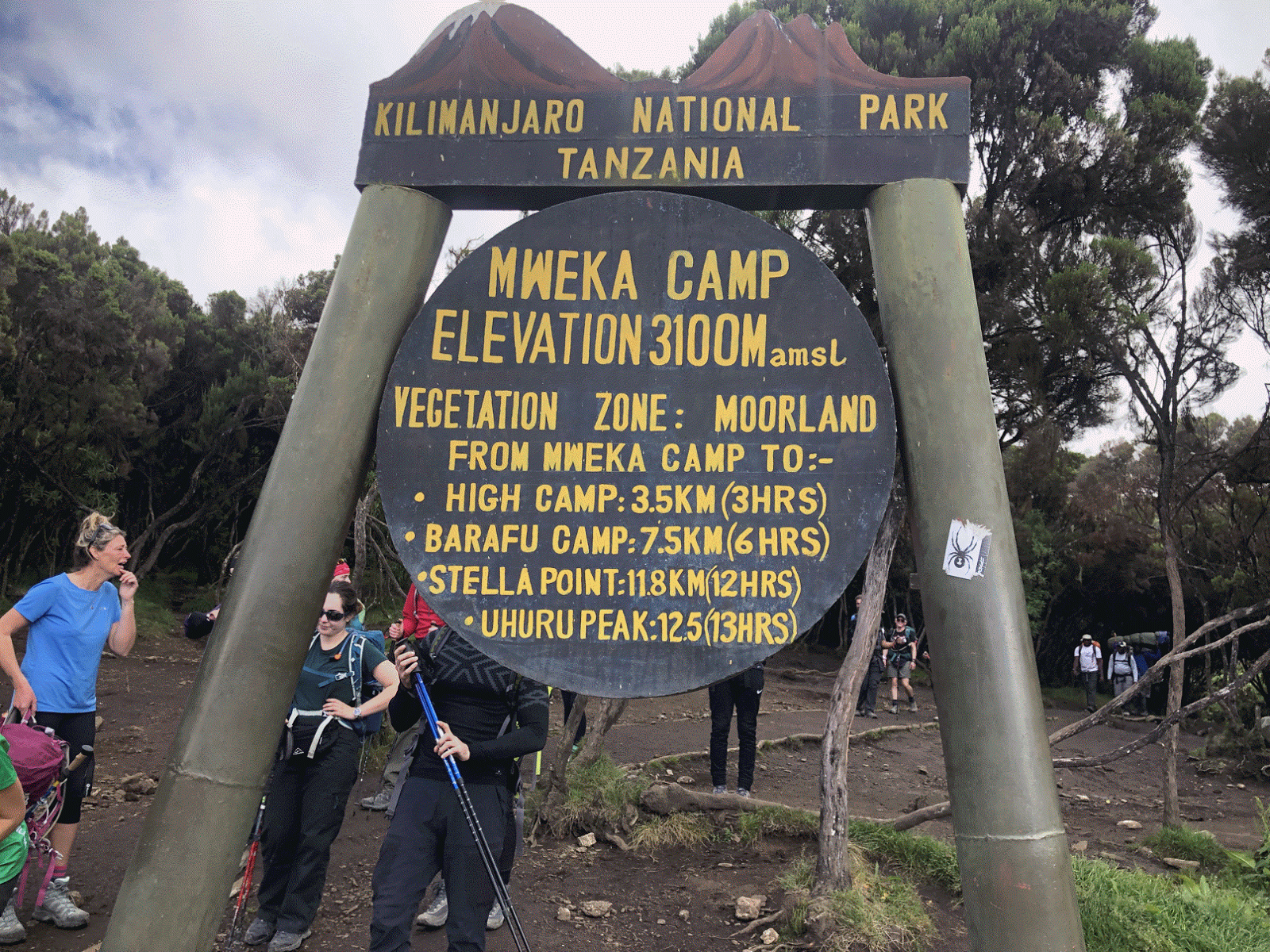 Uhuru: Climb Day 7: January 2 Descent from Millennium Camp (12,500 ft ...