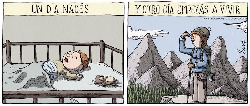 Universal Particular Singular