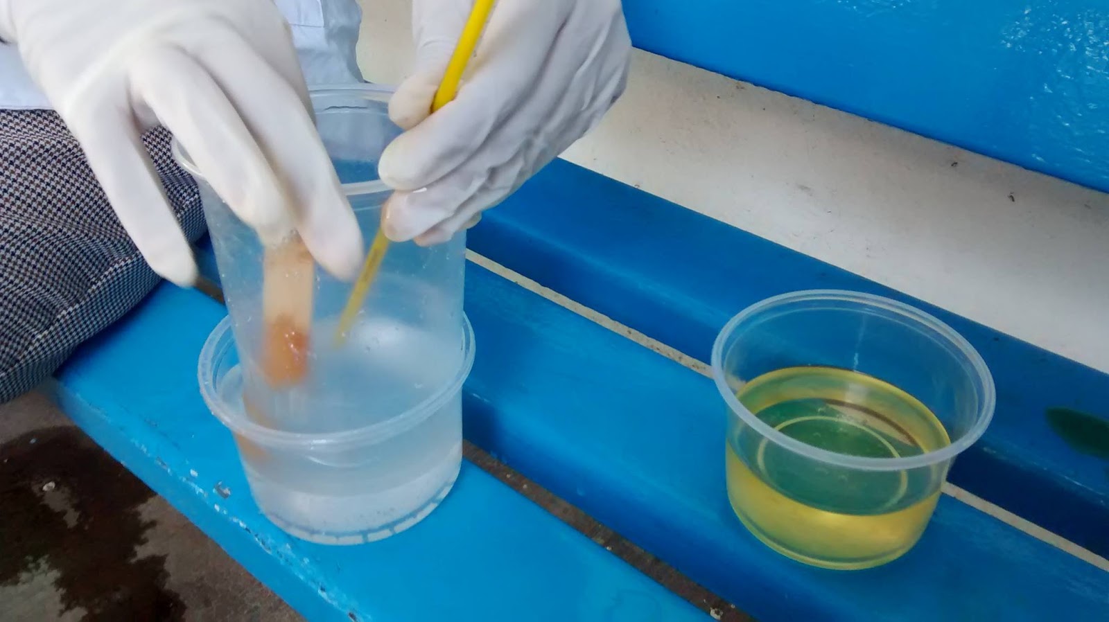 3C Andrea Escobar : PRACTICA 12: fabricación de jabon