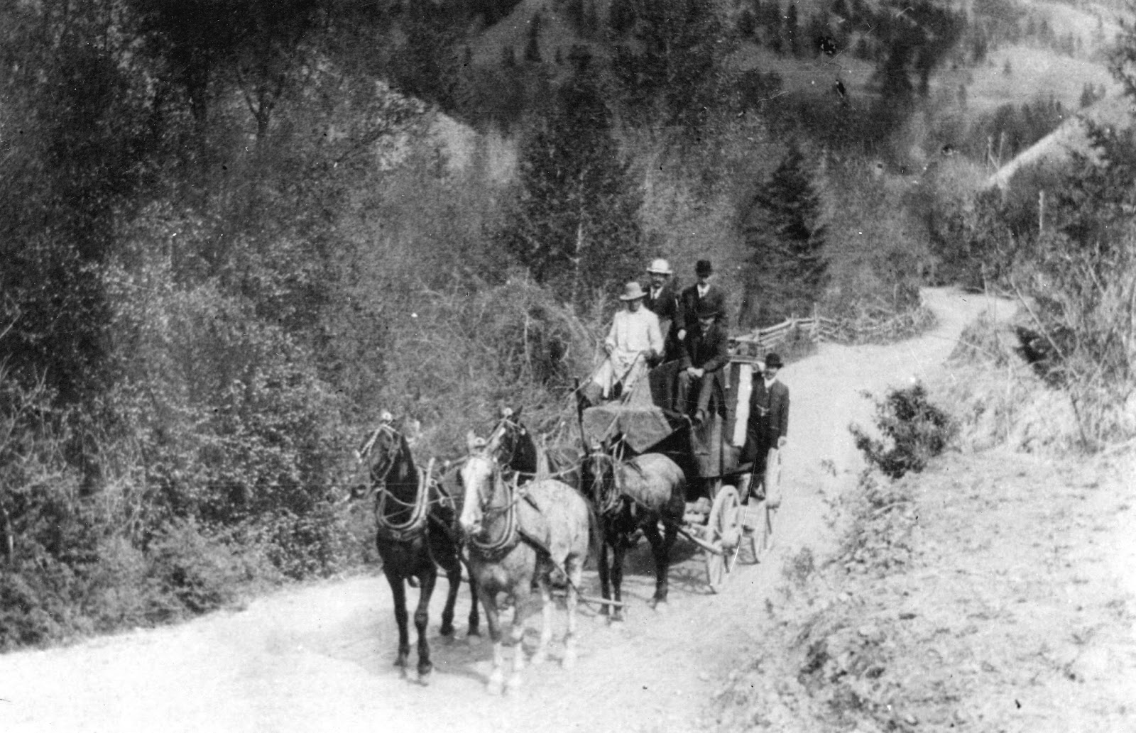 David Milton McGowan: The Cariboo Wagon Road