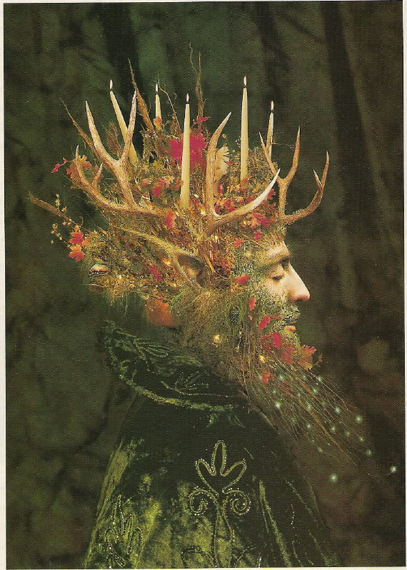 CASA DA FLORESTA: Feliz Yule