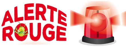 Le jeu du pendu : discussion - Page 244