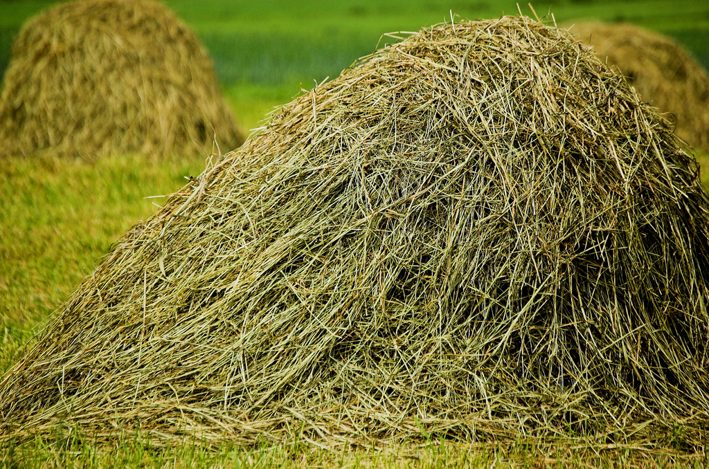 PA Dutch Travel: Amish Haystack Dinner Recipes