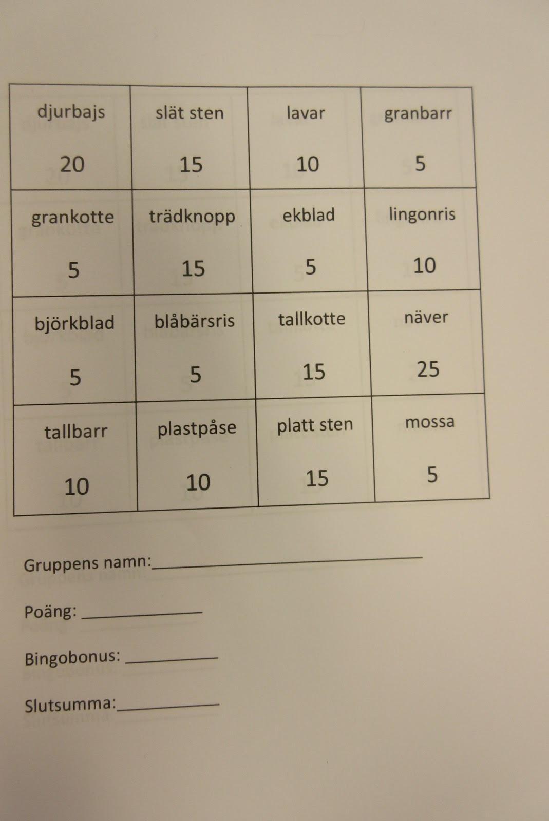 Strömsnässkolan 2B: Skogsbingo