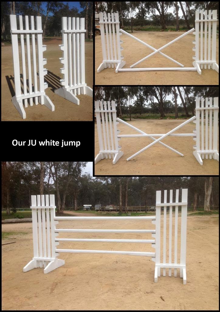 Jumps Unlimited: Show Jumps