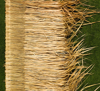 Plants, potteries and gardening products: Alang-Alang and Atap Nipah