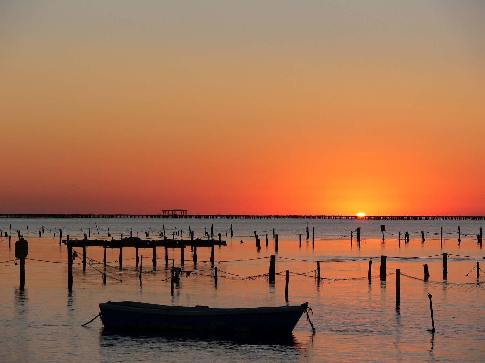DELTA DE L'EBRE: PAISATGES BONICS