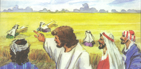 La Enciclopedia de Dios: LA COSECHA ES ABUNDANTE, PERO LOS TRABAJADORES ...