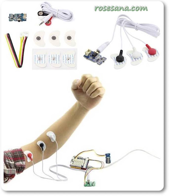 2R Hardware & Electronics: Grove - EMG Detector