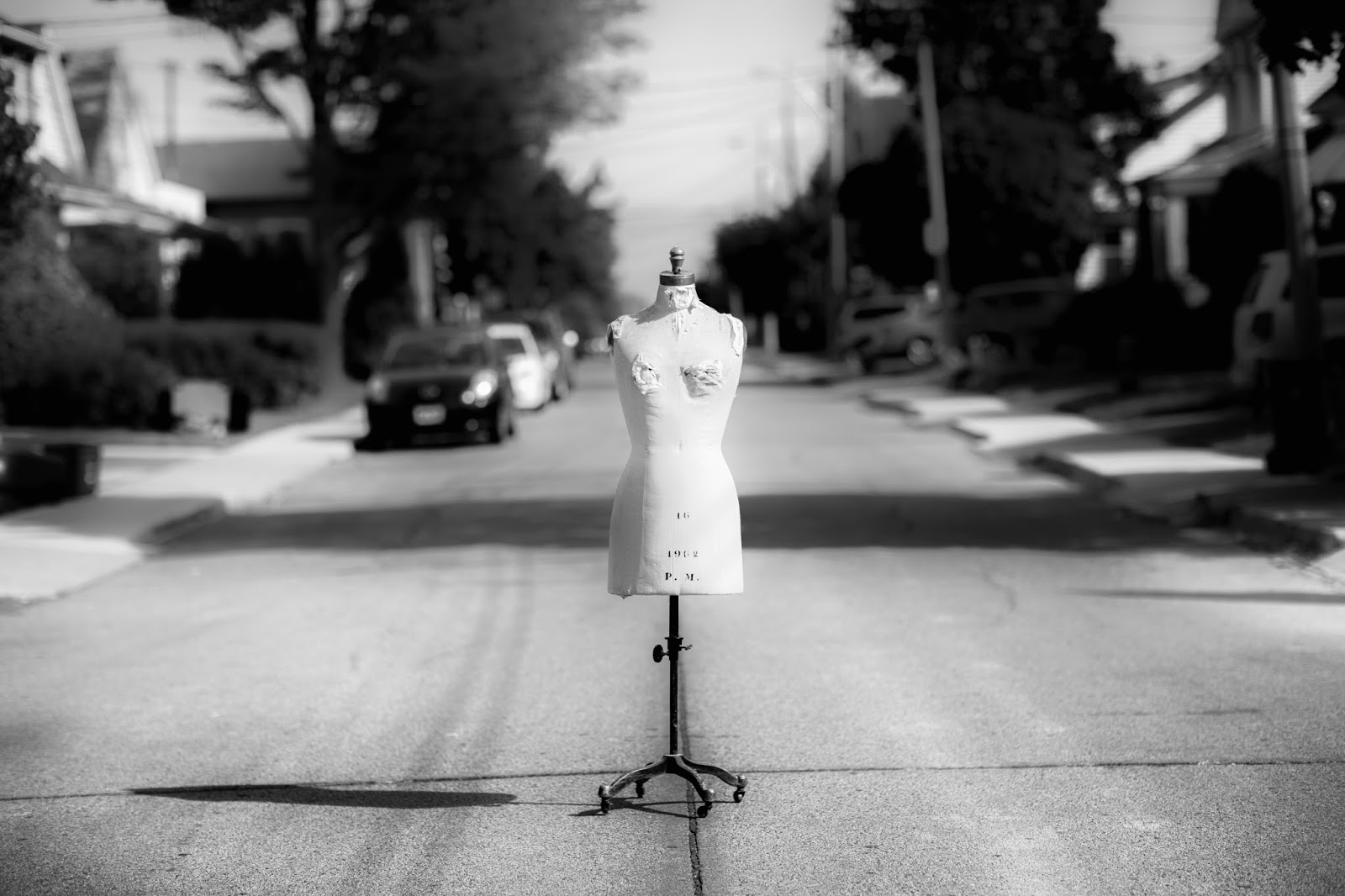 Photography by David Rees