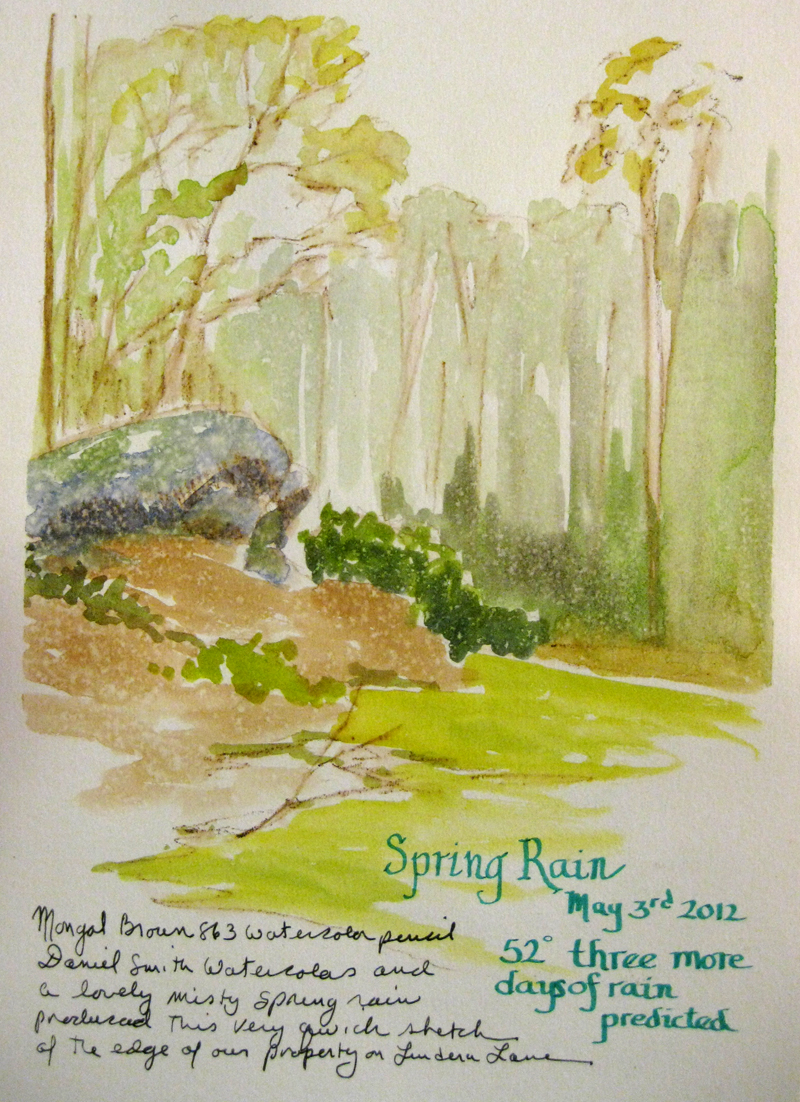 Pen Pencil Paper - a sketchblog: Spring Sketching, Lilacs and Trees