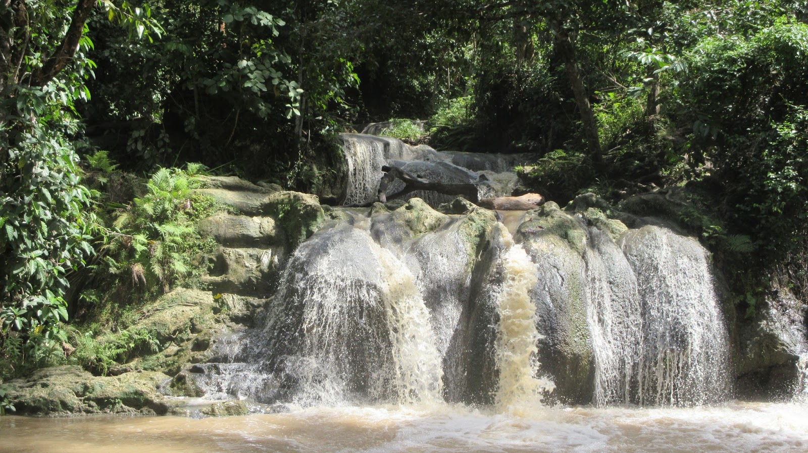Back in Samal Island - The Wandering Juan