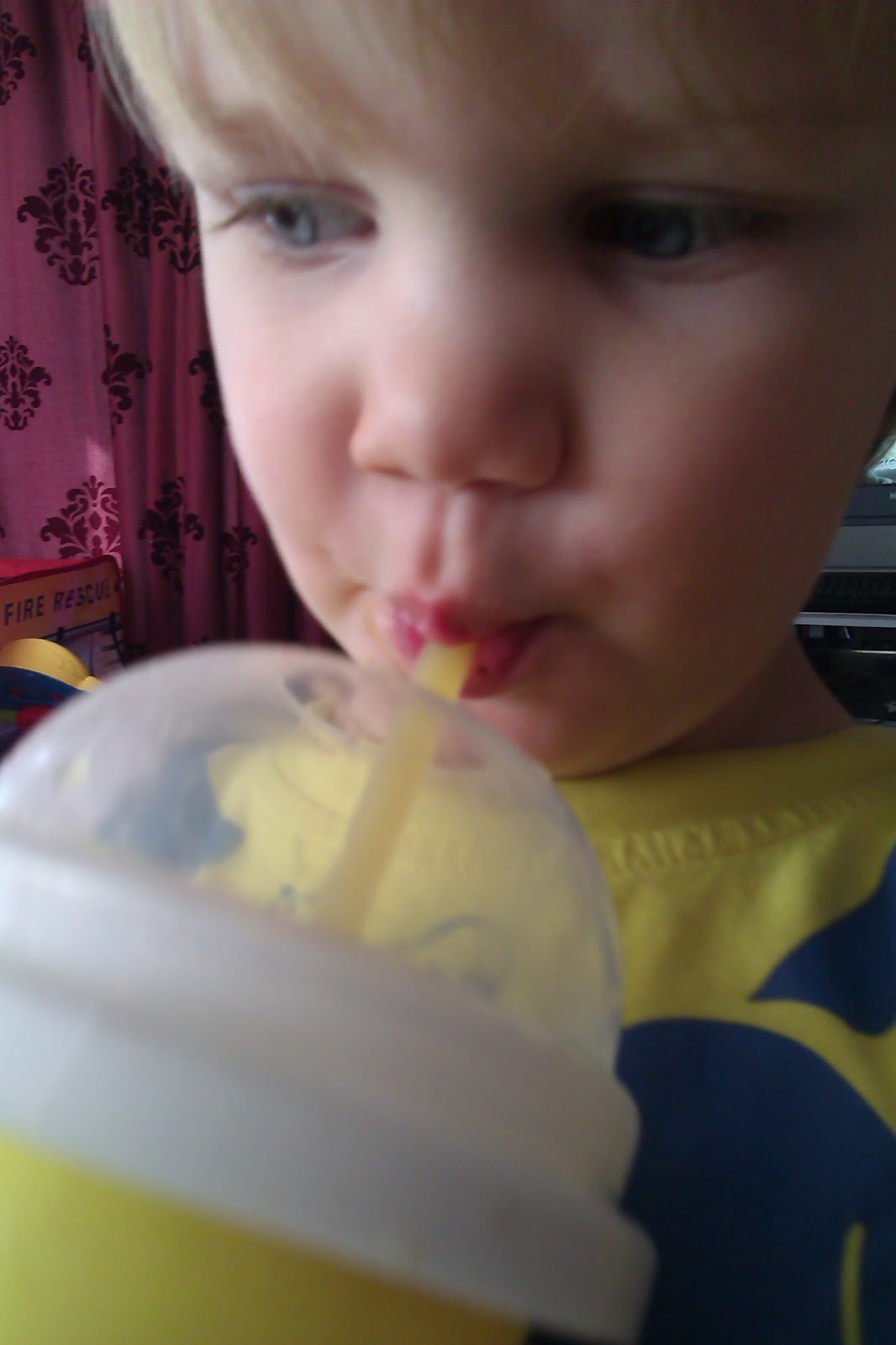 Where Roots And Wings Entwine: Chill Factor Squeeze Cup Slushy Maker ...