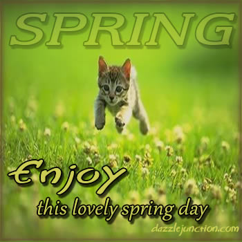 Fine Dry Wit: Happy Spring! Into The Future Oh NO!