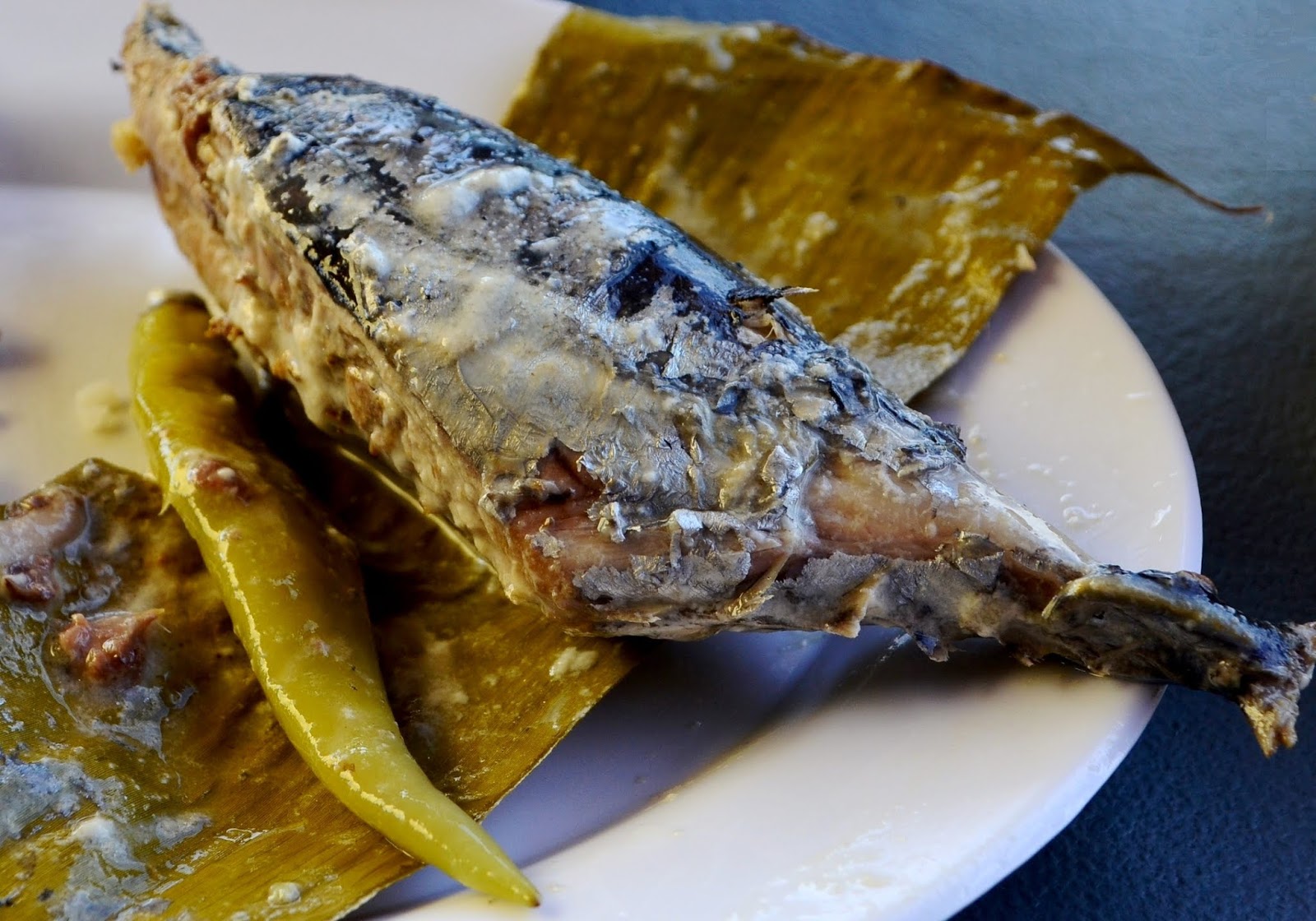 Philippine Food Illustrated: gatang albacora