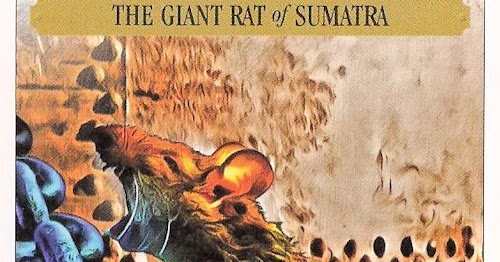 The Giant 5 Kg Rats Of East Timor
