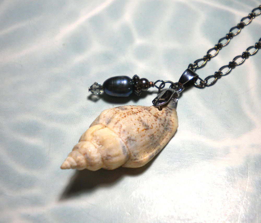 Del's Shells: Sunshine & Seashells