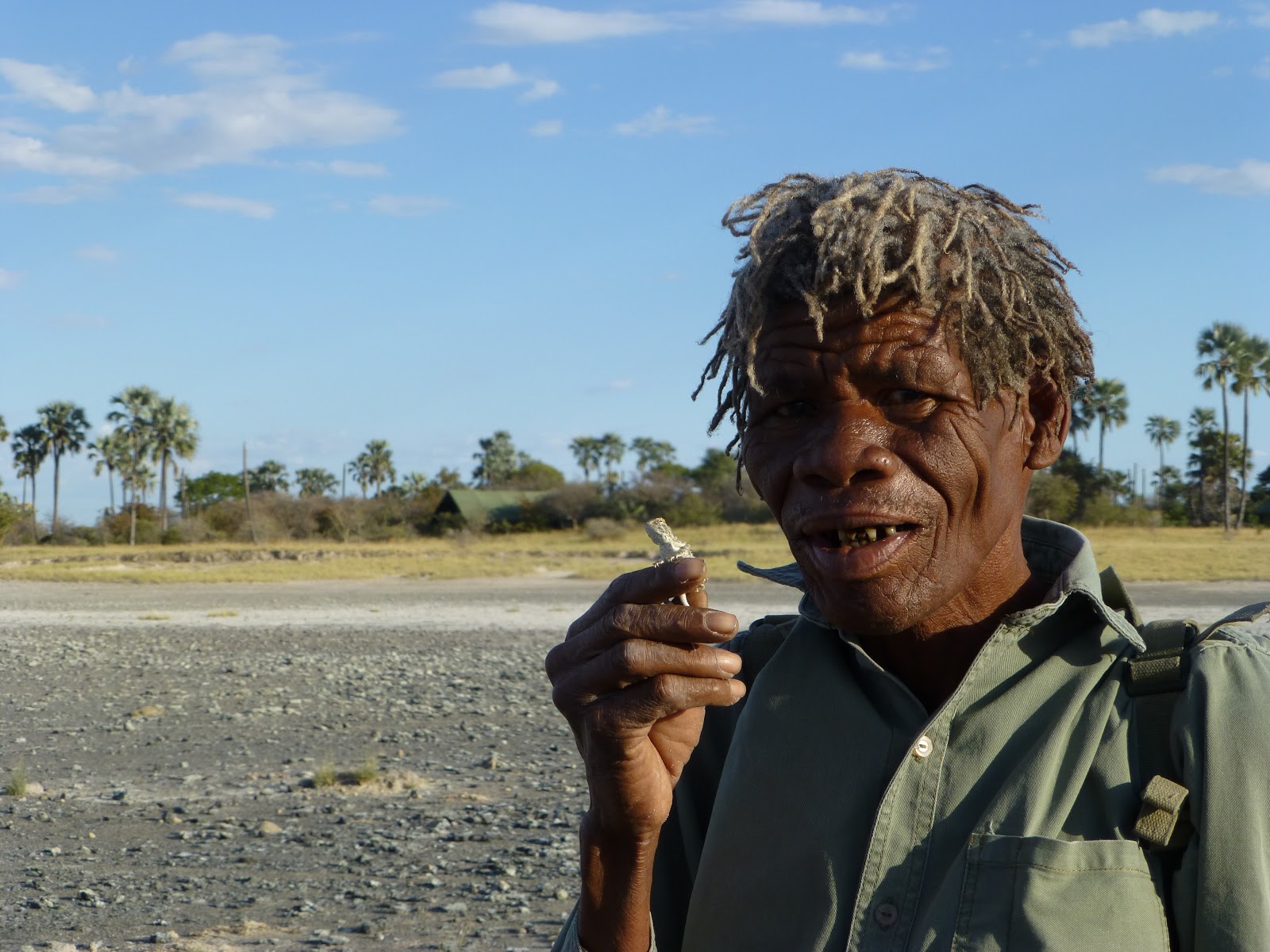 When Pigs Fly : The Bushmen of the Kalahari