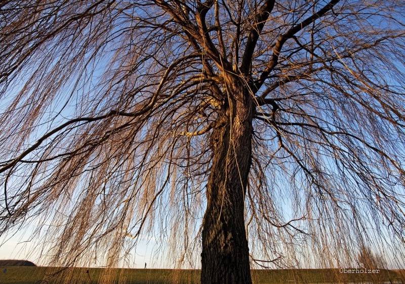 South Africa's Most Beloved Photographer Obie Oberholzer