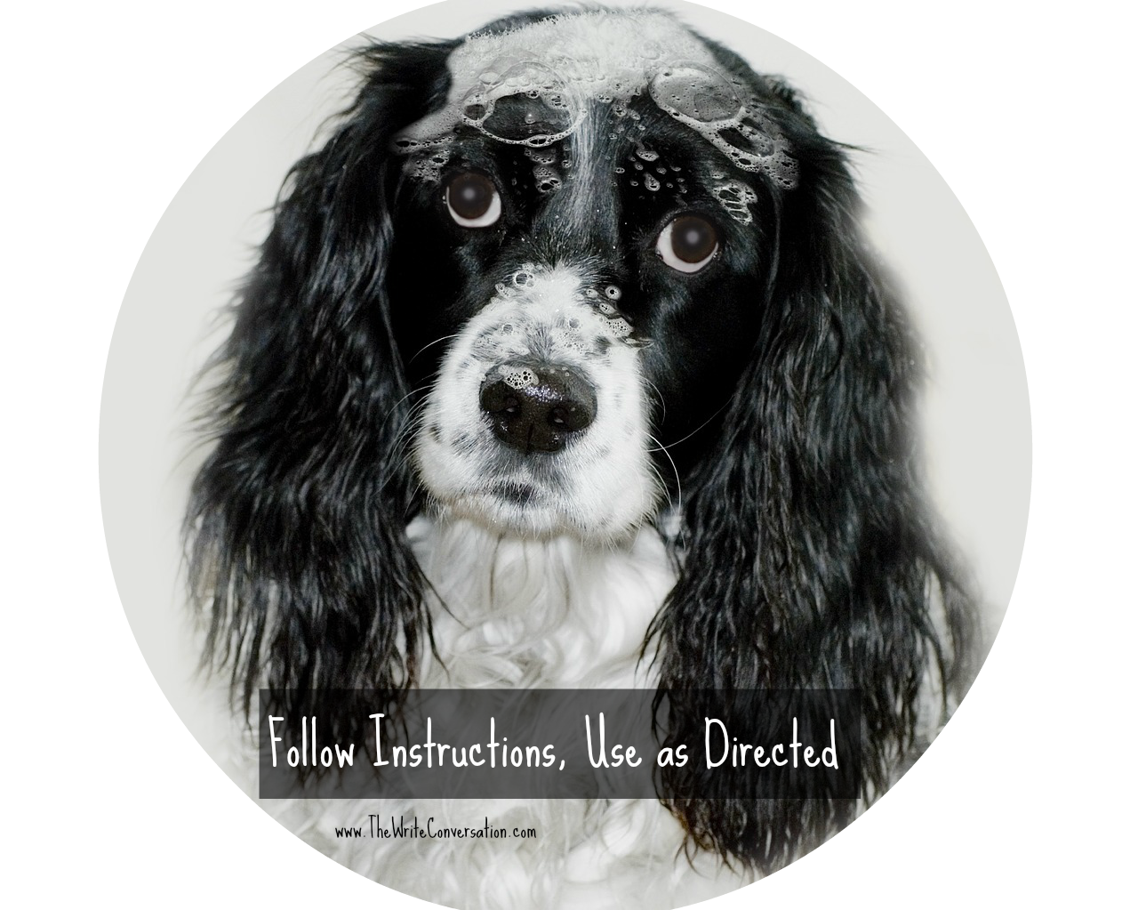 The Write Conversation: Follow Instructions, Use as Directed