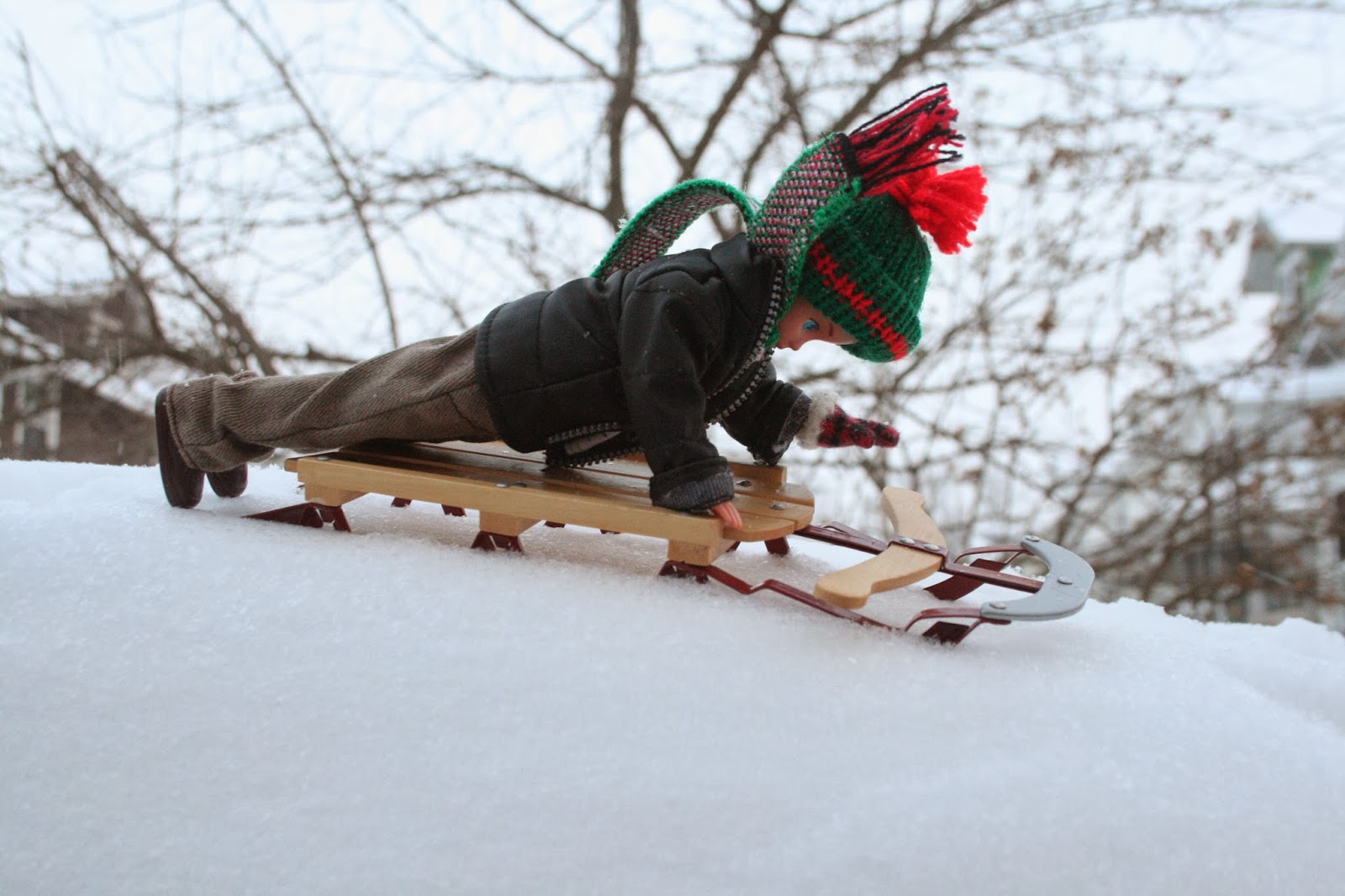PLANET OF THE DOLLS: The World Kids Go Sledding: A Snowy Photo Story