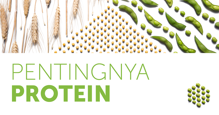 Mengenal Protein dan Manfaatnya