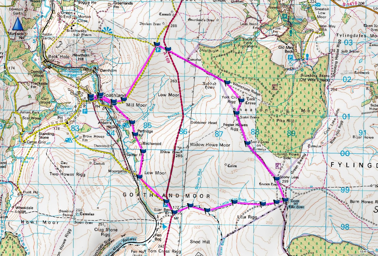 Goathland and Sneaton High Moor (North York Moors)