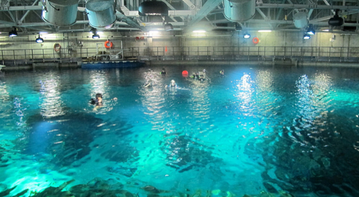 Scuba Steve's Ultimate Dives: Disney DiveQuest- Epcot Center Orlando Fla.