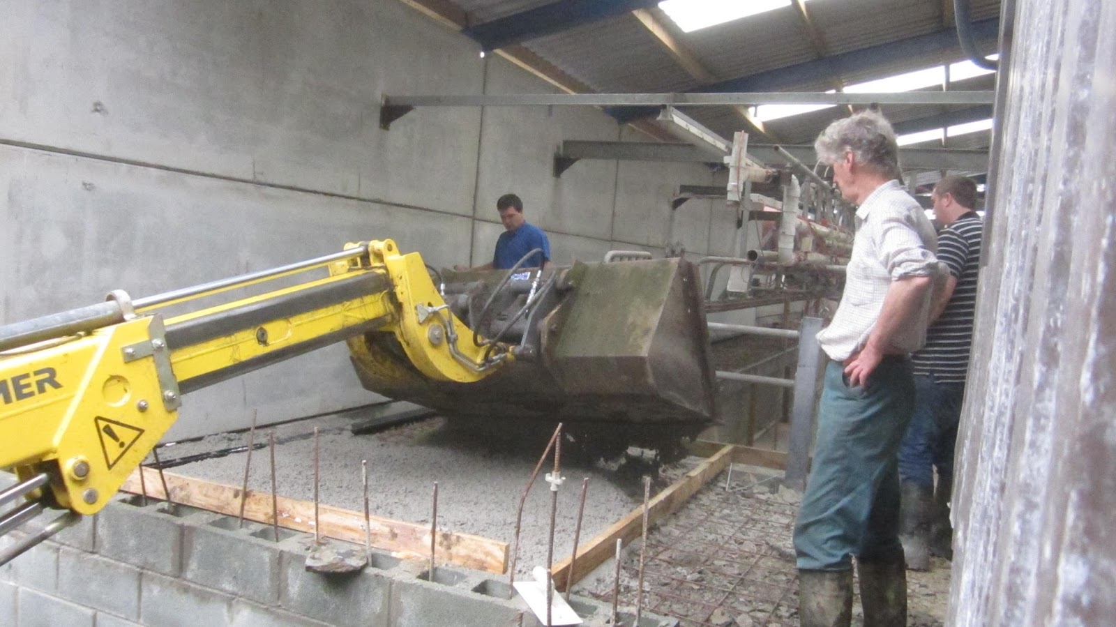 Life on a Welsh Farm: Weekend Away, Halter-training Calf