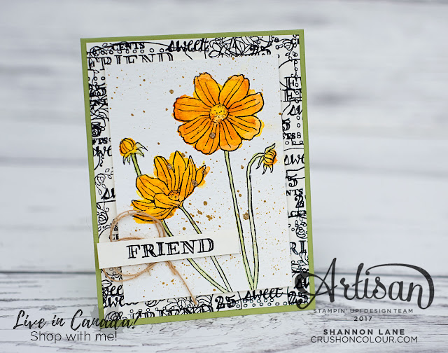 Crush On Colour: Helping Me Grow - Friend